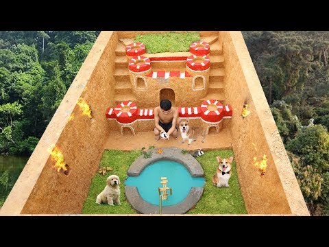Build an underground rabbit house