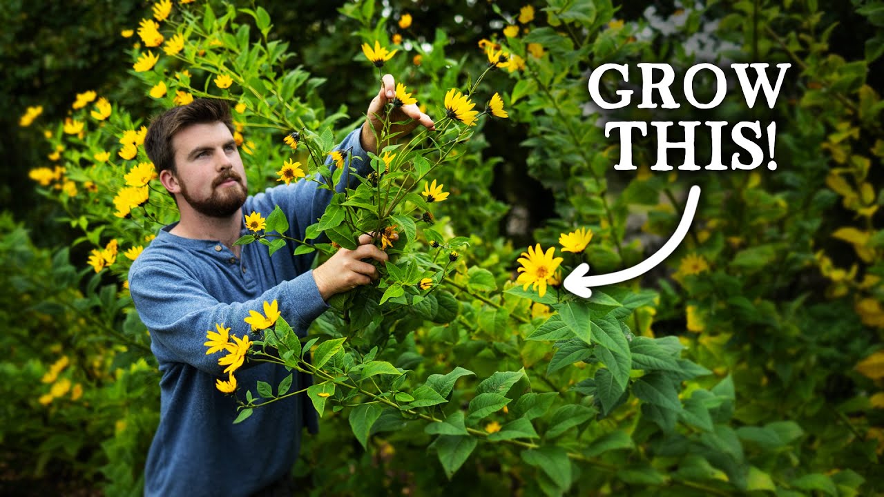 Could these 7 crops change your gardening game?