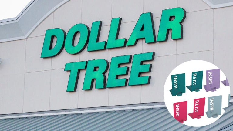 Dollar Tree finds perfect for book lovers under $1.25