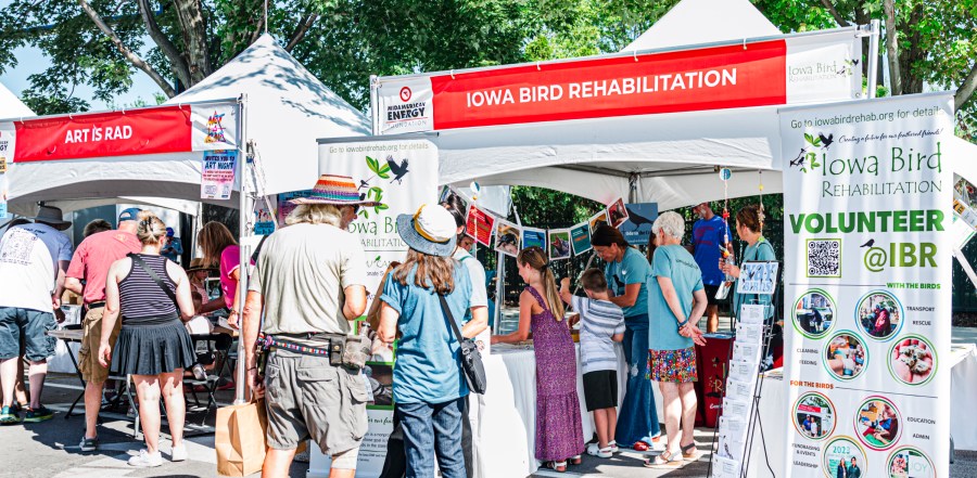 9 rising stars selected for 2026 DSM Arts Festival Emerging Artist Program