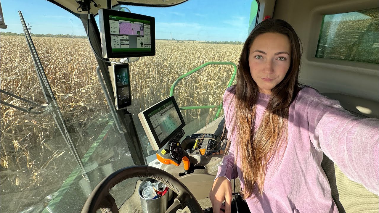 First frost turned corn harvest into a day and night race