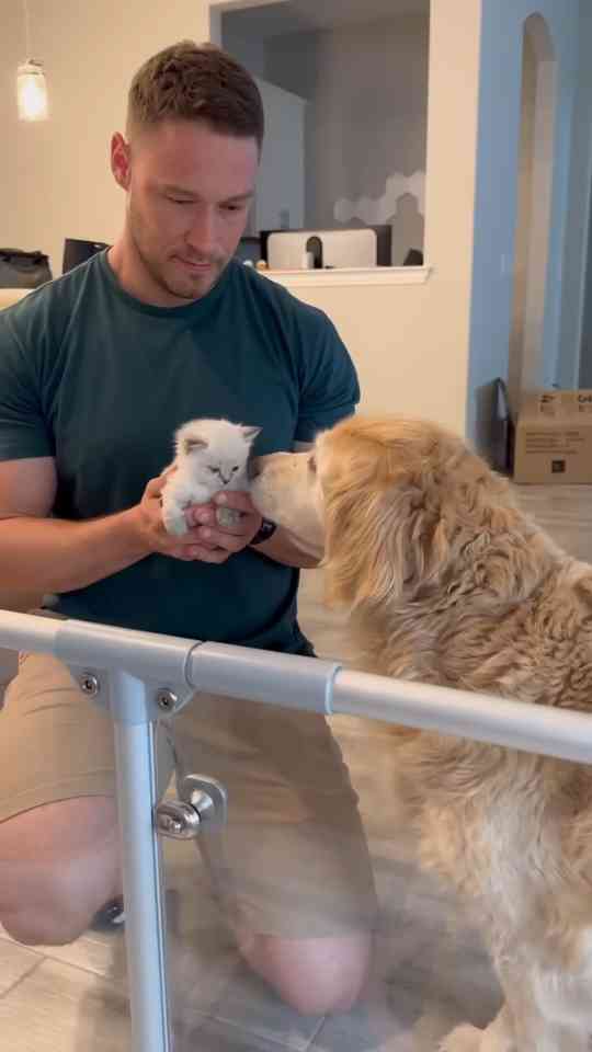Lucy meets the kittens for the first time