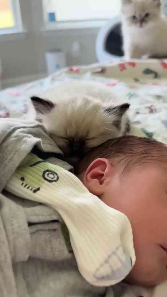 A heartwarming pile of cuddles