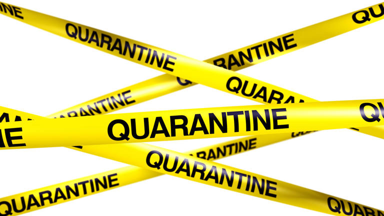 Americans from hantavirus-affected cruise ship being sent to ...