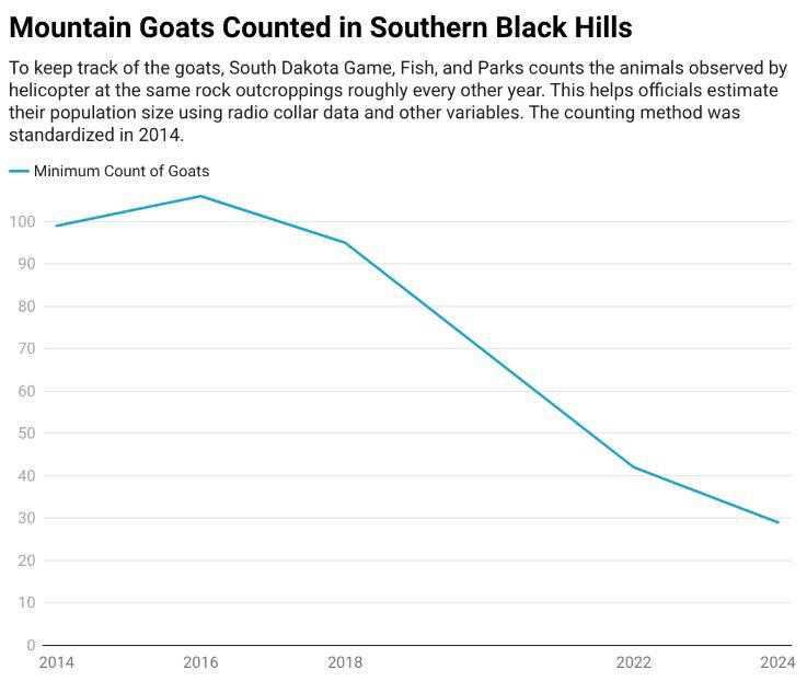 South Dakota’s southern Black Hills mountain goats face an uncertain future