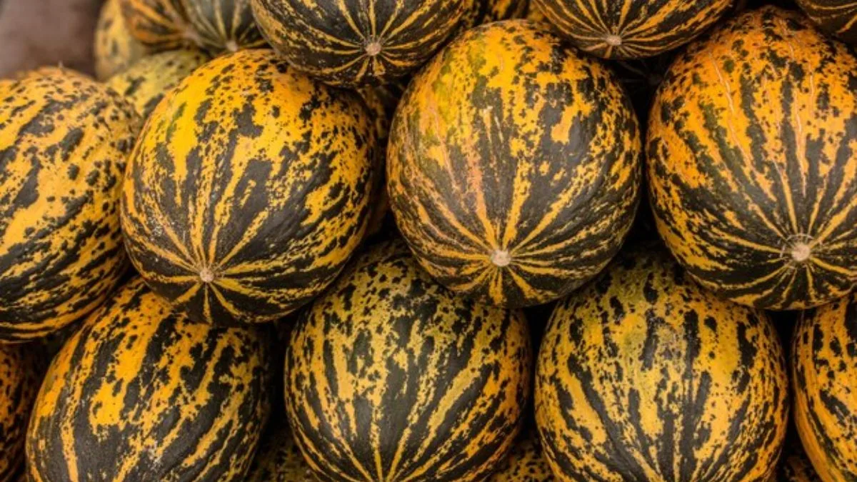This summer fruit is 95% water, and that's just the beginning