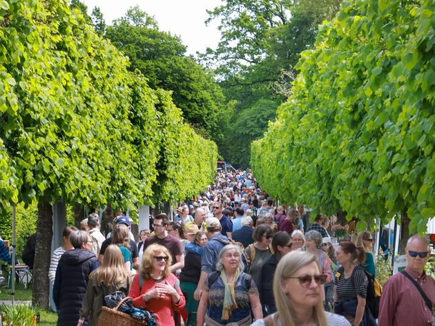Stauden, Tipps, botanische Raritäten: 5000 Besucher bei Kasseler ...