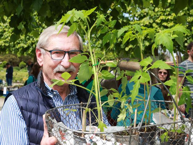Stauden, Tipps, botanische Raritäten: 5000 Besucher bei Kasseler ...