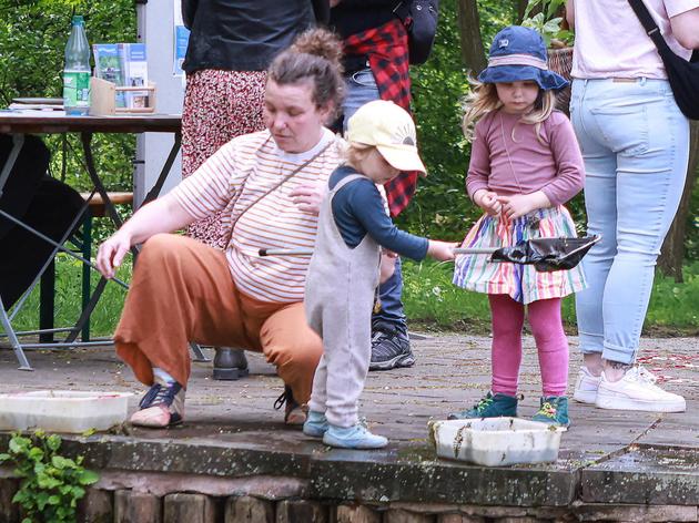 Stauden, Tipps, botanische Raritäten: 5000 Besucher bei Kasseler ...