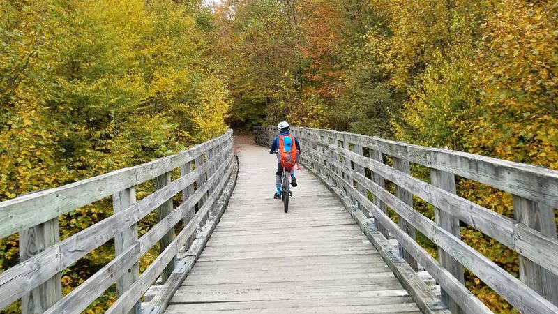 The 34-mile Virginia rail-trail where you can walk, bike, or run under ...