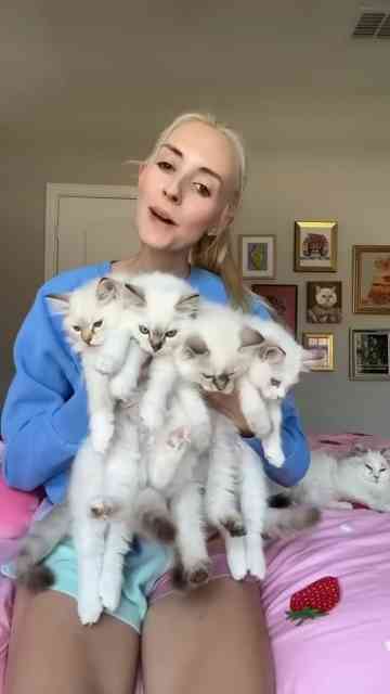 Watch Summer’s kittens grow and transform