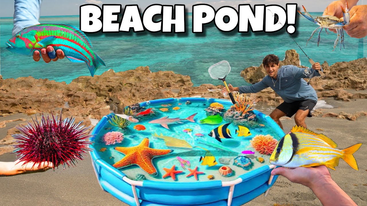 I explored tide pools and caught exotic sea creatures! 🌊