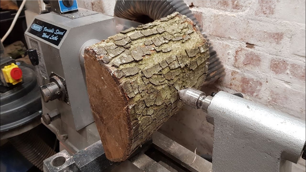Transforming wood bark into art