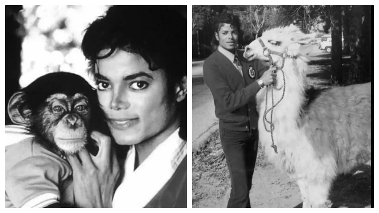 Michael Jackson’s most loved pets that are worth knowing!