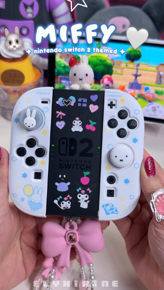Let's make over my Nintendo Switch 2