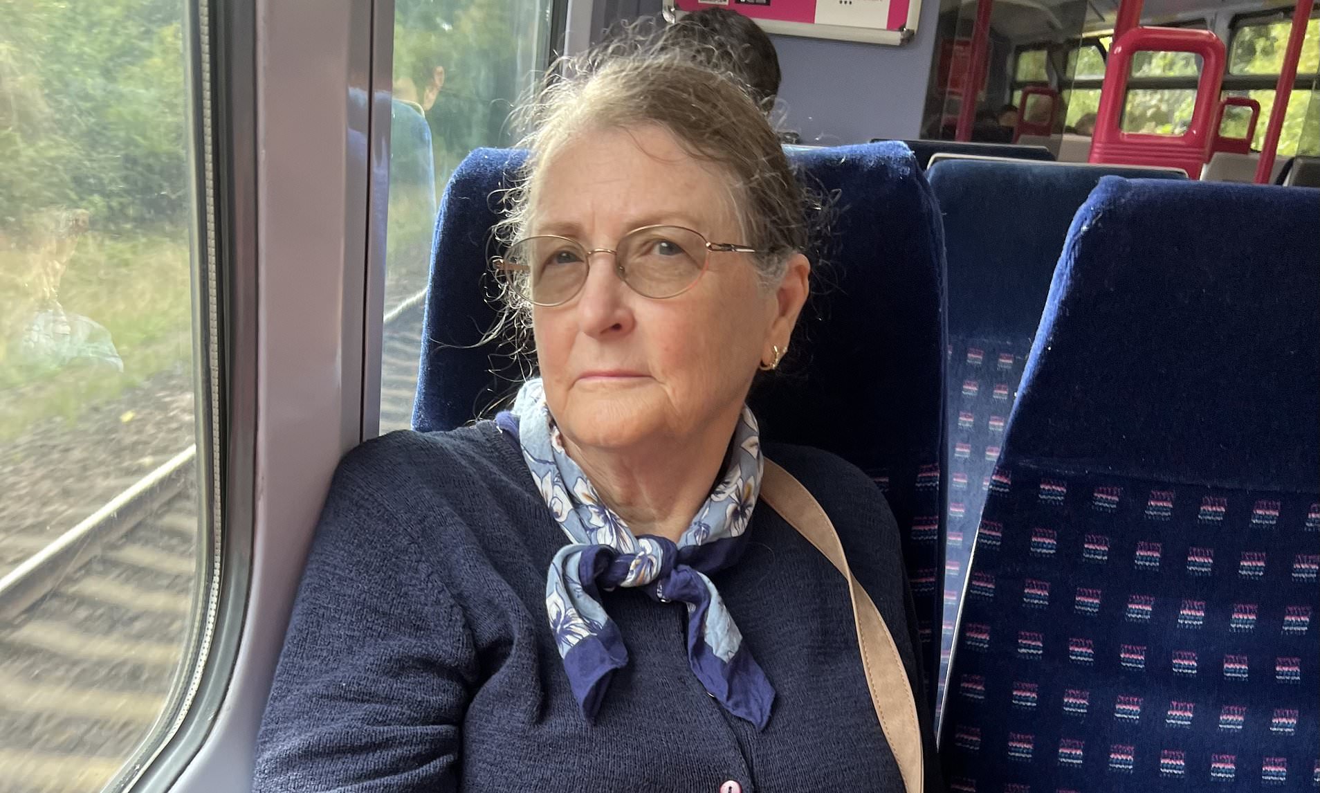 Retired oncologist nurse, 75, can't afford £90 return ticket to travel ...