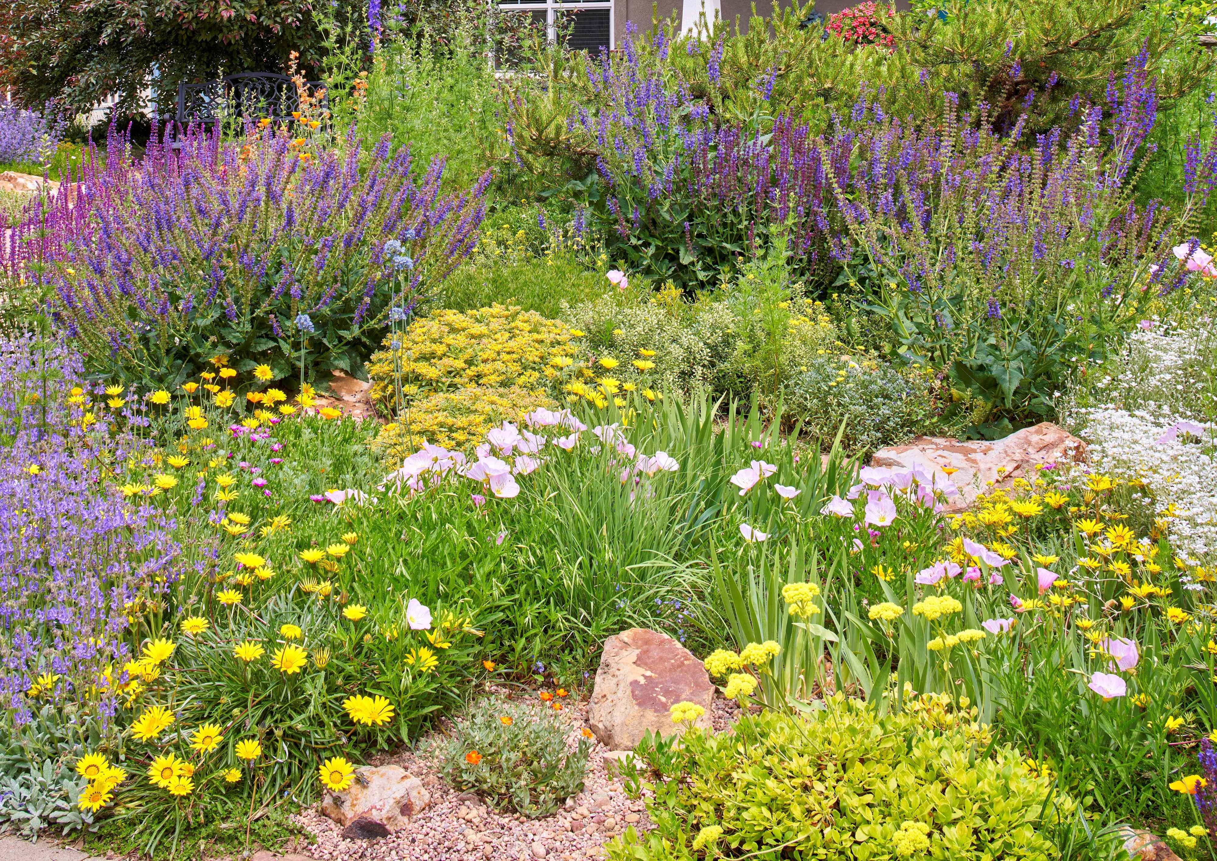 Keystone perennials are the superhero plants your garden needs