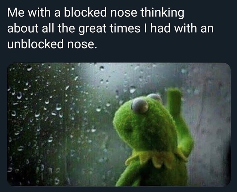 28 Kermit the Frog memes that belong in the Louvre