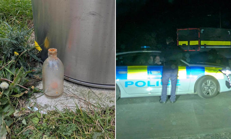 Dog walker accidentally picks up World War Two bomb on UK beach ...