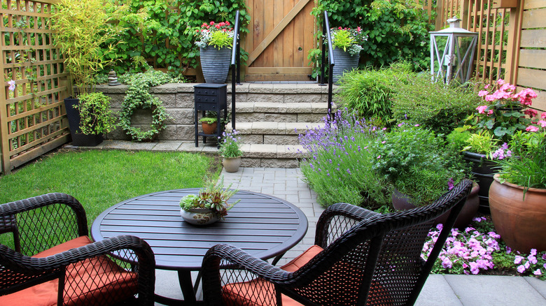 The 10 best flowering shrubs to plant if you have a small yard or garden