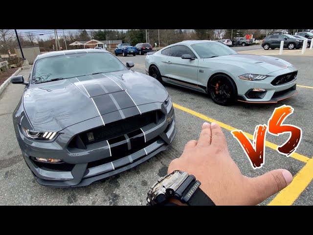 🔥 2021 Mach 1 Mustang vs Shelby GT350! Coyote vs Voodoo!