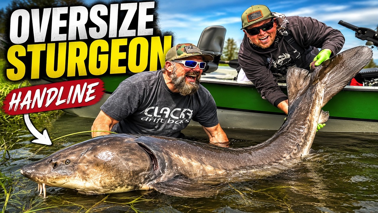 Handlining an oversize sturgeon (no rod!)