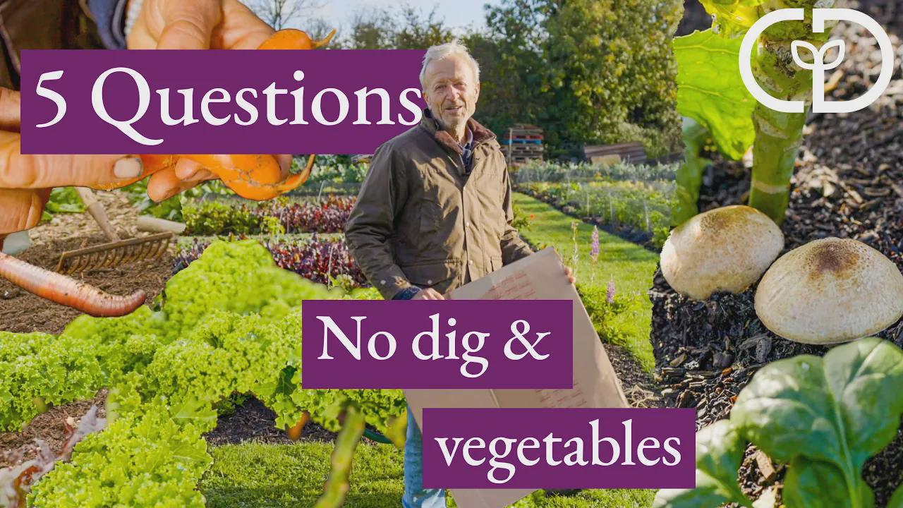 Start out methods, plant cover, companion planting, health from soil