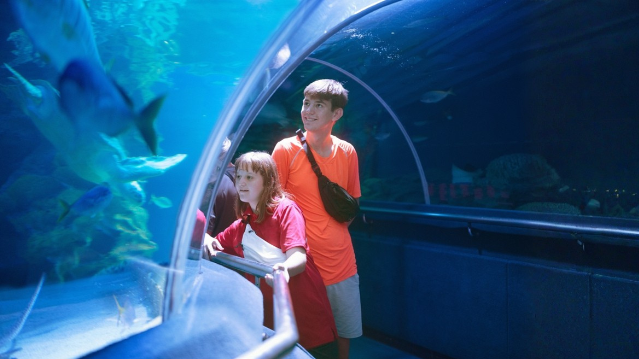 16 family-friendly museum trips with aquariums, science centers, and ...