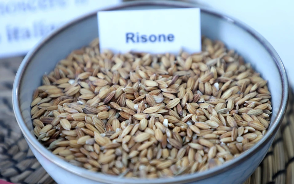 Master the art of creamy risotto at home