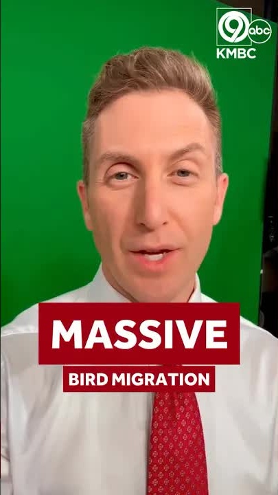 Millions of birds migrate over Kansas and Missouri
