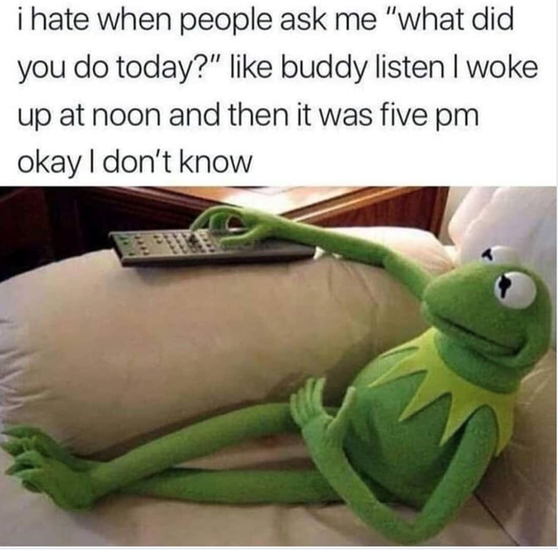 28 Kermit the Frog memes that belong in the Louvre