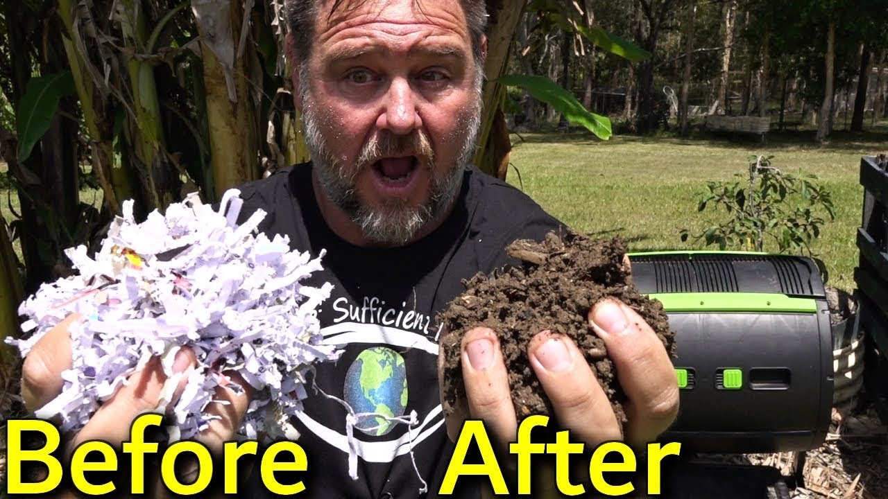 Turn shredded paper into garden gold: Easy composting guide!