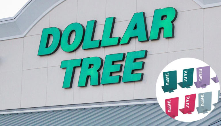 Dollar Tree finds perfect for book lovers under $1.25