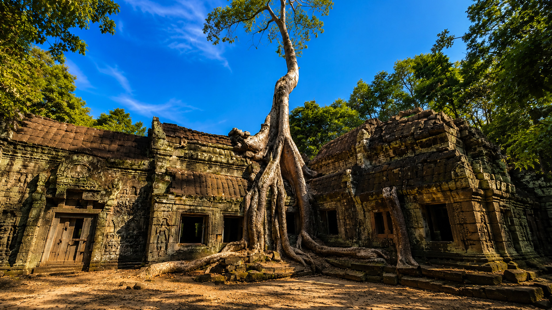 Why is this Cambodia temple covered by giant roots?