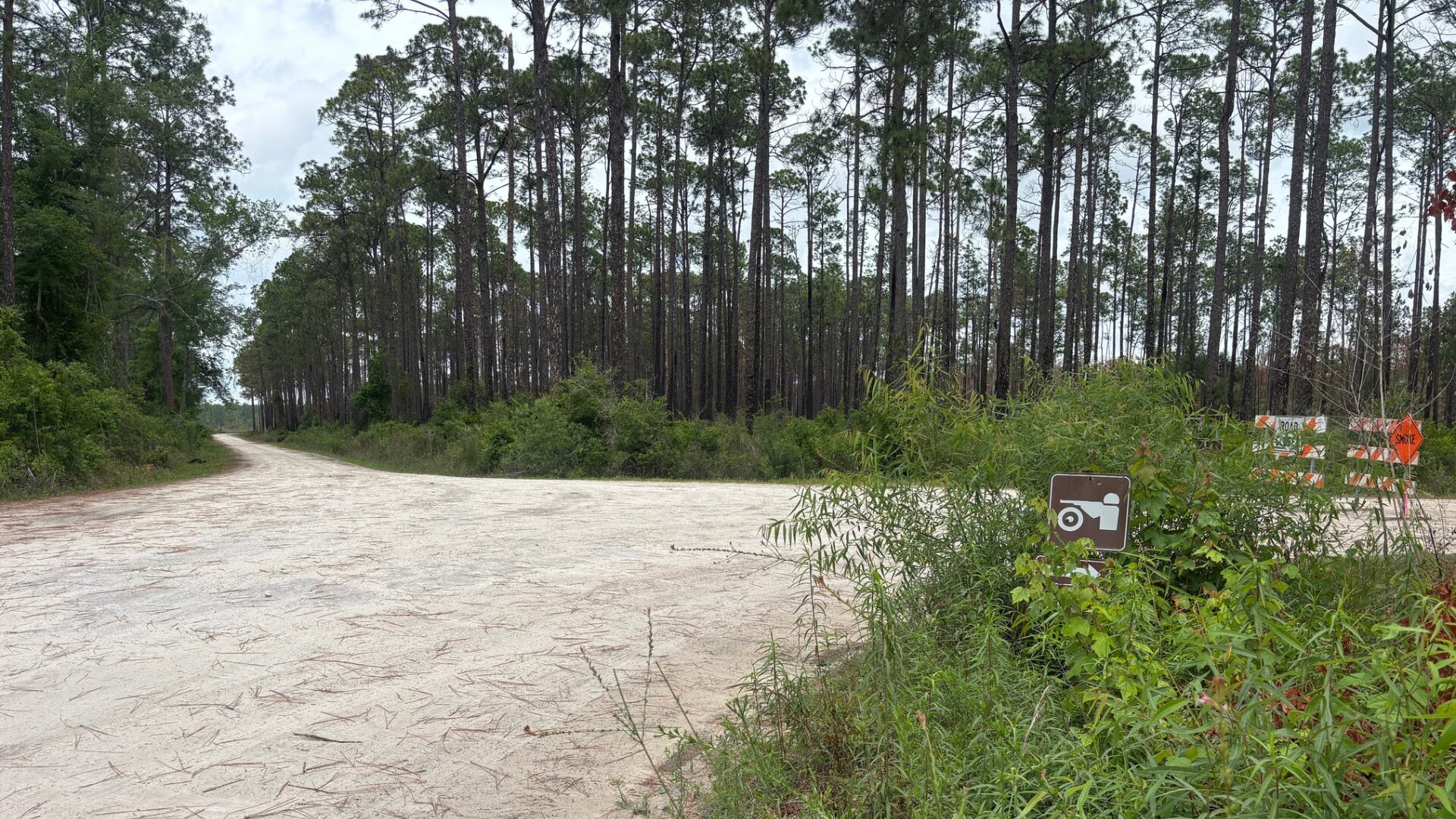 Road reopens in Osceola National Forest weeks after Gun Range Fire ...