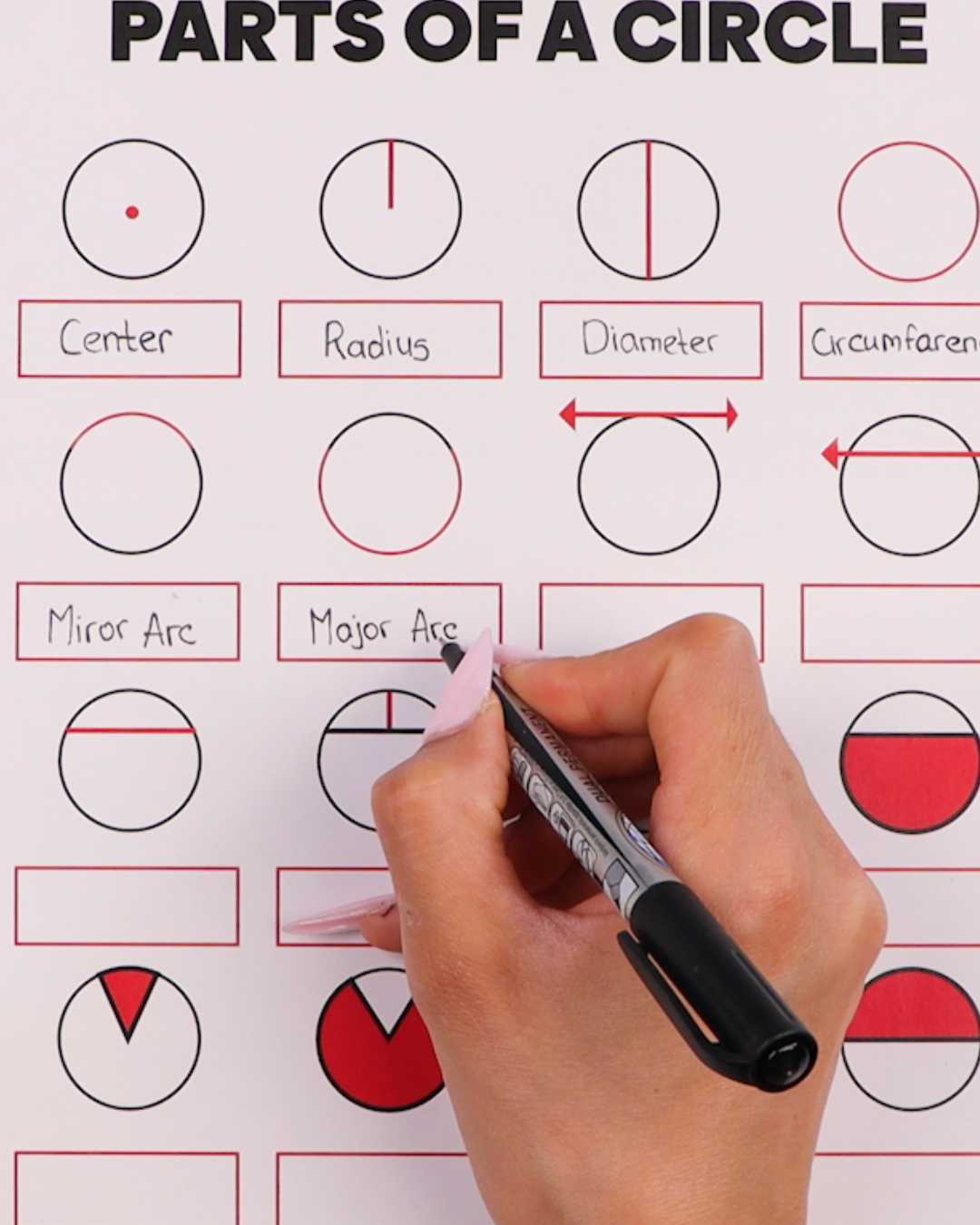 16 circle parts explained simply⭕