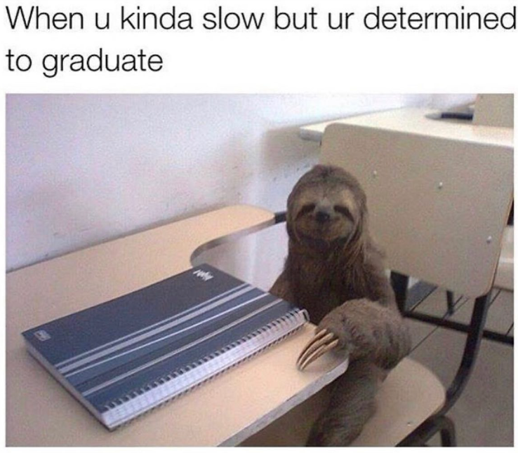 21 sloth memes taking their sweet time to make you laugh