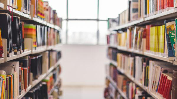 Homewood Public Library Sumer Reading programs kicking off May 18