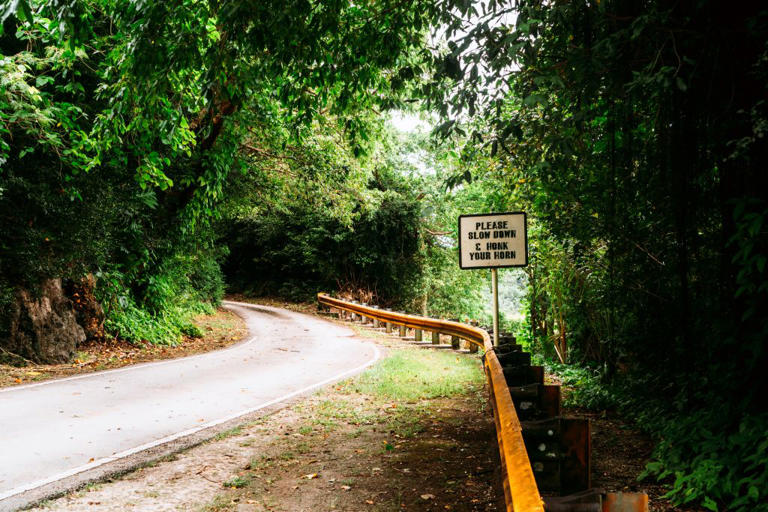 Rota Island, Northern Mariana Islands: A hidden Pacific gem