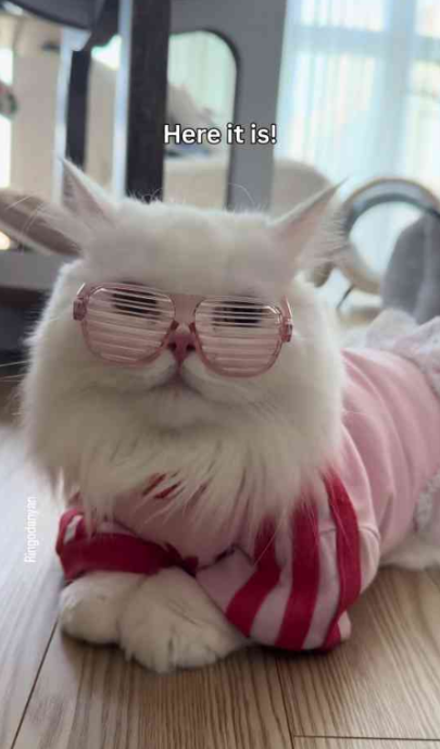 Ready for summer vibes!