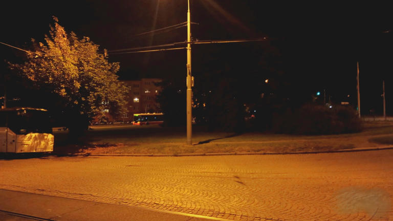 Ze stromů u zastávky MHD se každou noc ozývá žalostné volání, které ...