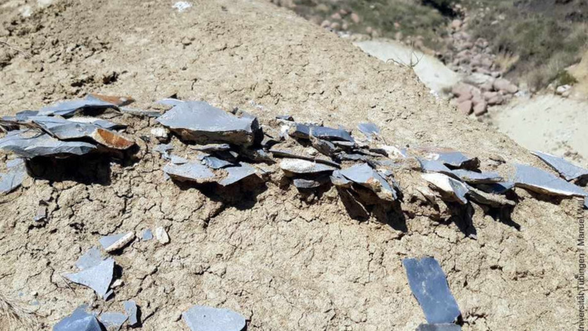 Humans in South Africa were quarrying stone 220,000 years ago