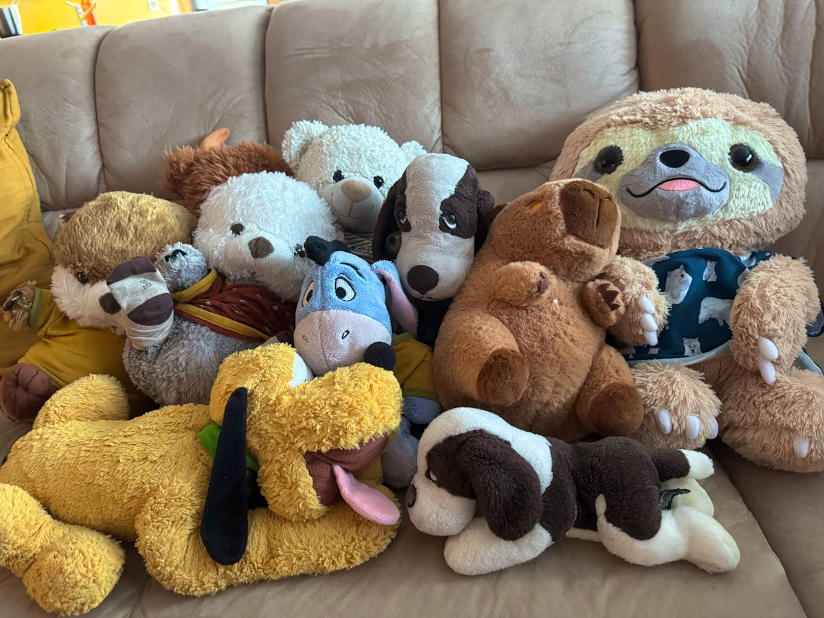 Luca liebt seine «Käfer» – Kuscheltiere geben Erwachsenen Halt