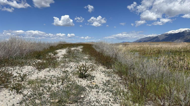 Utah natural resources chief addresses water concerns about data center ...