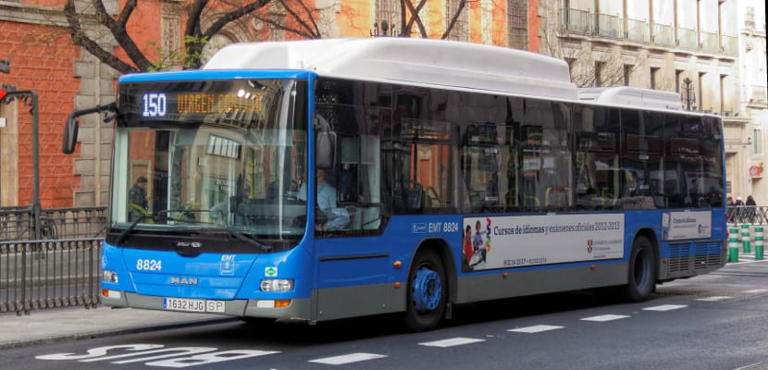 Cómo estudiar en excursiones y aprovechar cada viaje al máximo