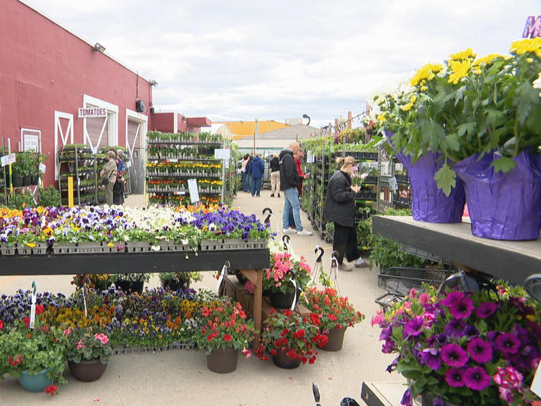Les fleurs restent un symbole d’amour pour célébrer la fête des Mères