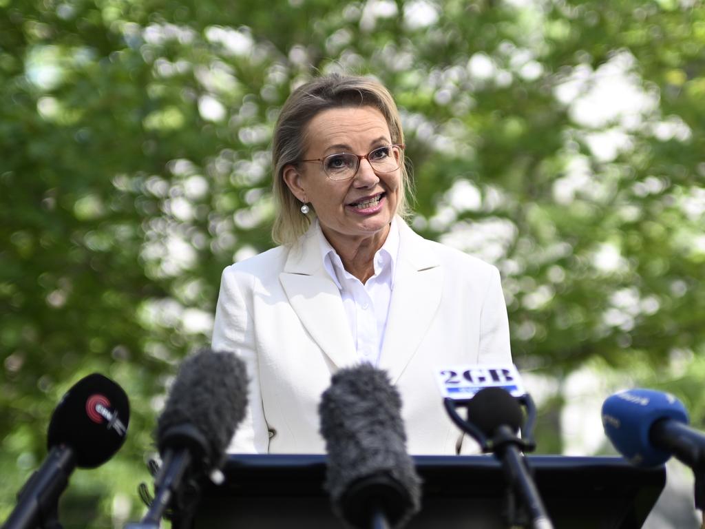 ‘I’m ready’: Ex-Lib launches challenge to One Nation