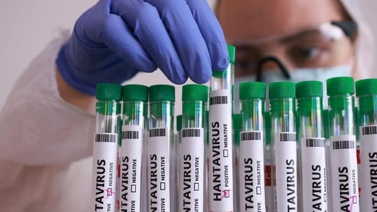 Hantavirus explained: Can it spread from person to person? Bengaluru ...