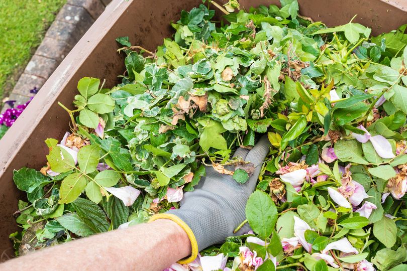 Common garden items you can no longer put in your bin due to new rules ...