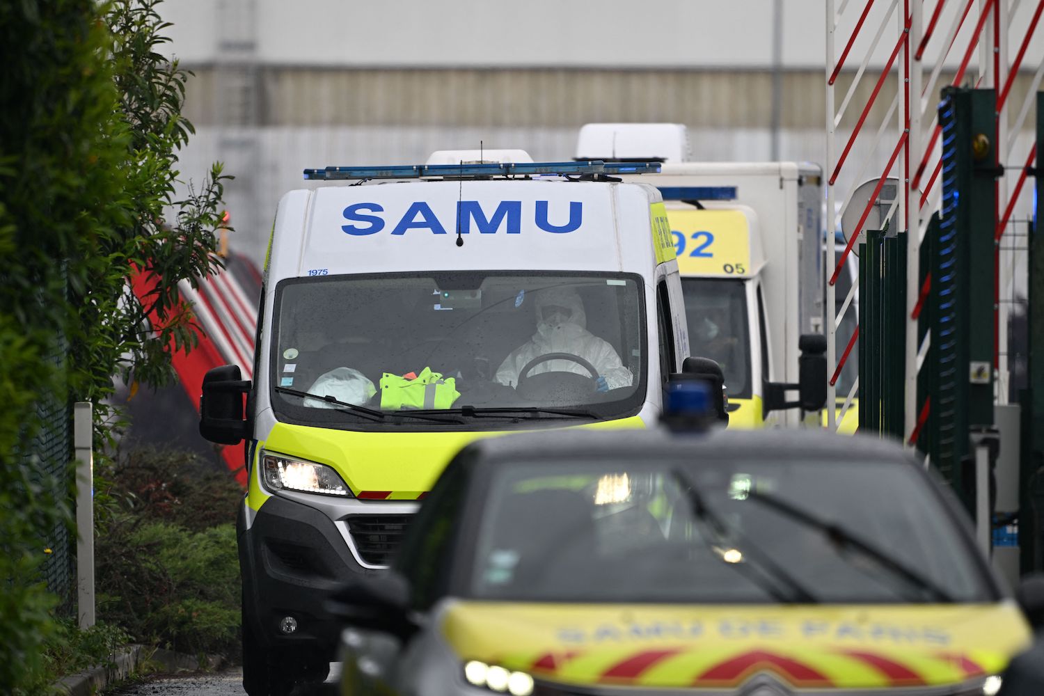 Premier cas d’hantavirus confirmé en France